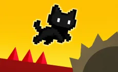 The Way Of The Cat